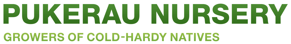 Contact Pukerau Nursery | native plant specialist • Pukerau Nursery